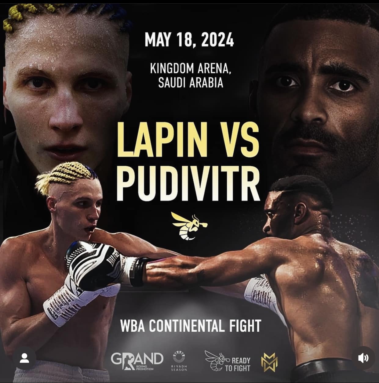 Confronto Épico à Vista: LAPIN e PUDIVITR vão encontrar-se pela WBA ...